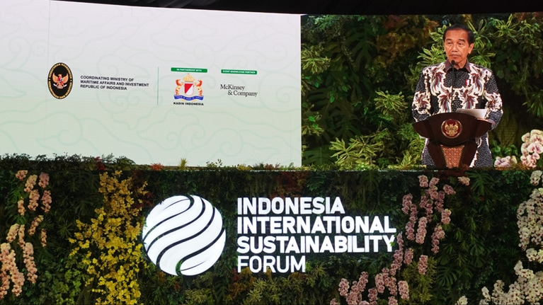 McKinsey champions sustainable, inclusive growth at the 2024 Indonesia ...